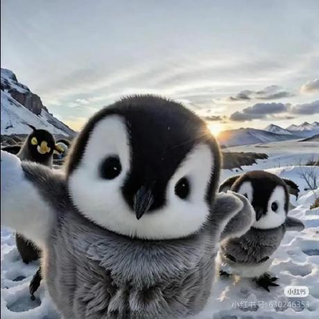 Xinghandm Xinghan Li Github