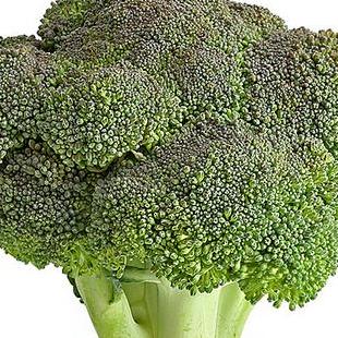 Minjunc Dev Minjun Cho Github