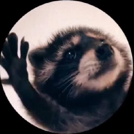 Mrkarrin Maxime Github