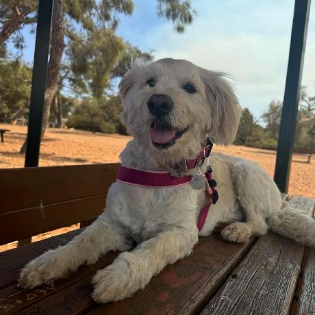 Releases Localstack Localstack Github