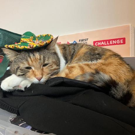 Simaaay Simay Github - Best Space Images in Mobile