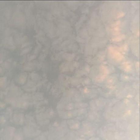 Koharachan こはらちゃん Github