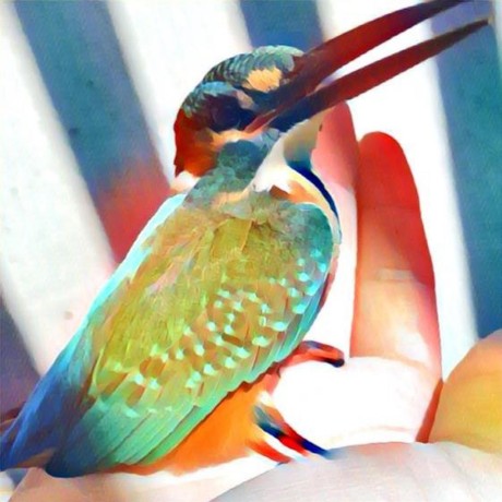 Uchidacode Yoshihiko Uchida Github