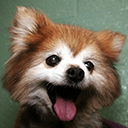 Github Dyslexic Charactersheets Assets Dyslexic Character Sheets - Beautiful Space Picture - Mobile