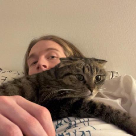 Werq2k Werner Github