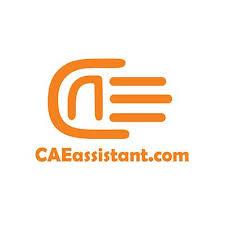 Caeassistant Group Cae Assistant Github