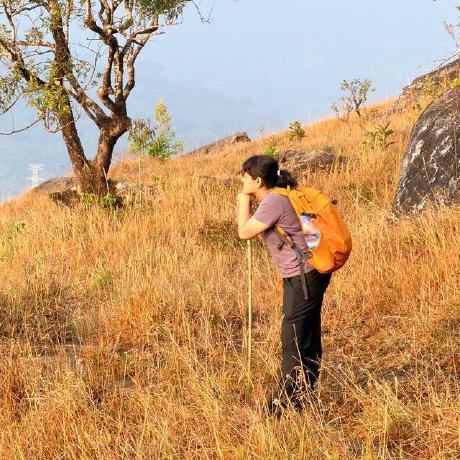 Chhan Makara Chhan Makara Github