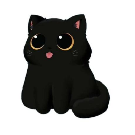 Rayhane Aissa Github