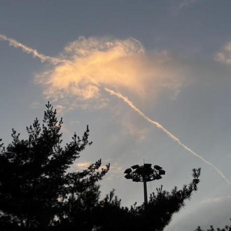 Garden 01 조수원 Github