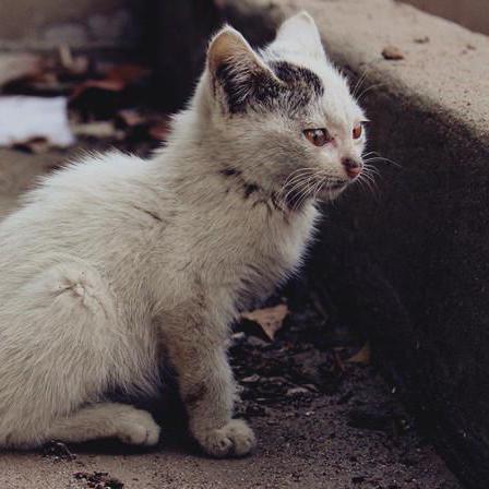 Github Rydesun Awesome Github Dive Into Awesome Lists And Explore - Dark Art Collection - High Resolution Quality