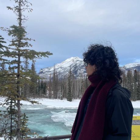 Heatgates Heat Github