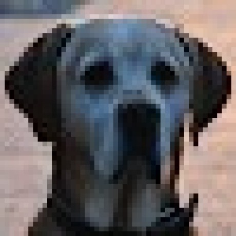 Linusx Dev Github