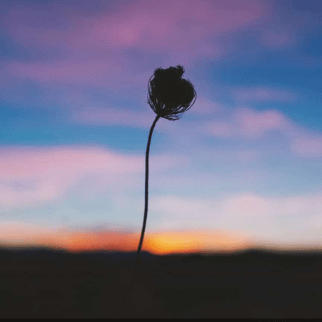 Kiplangat Ronny Github