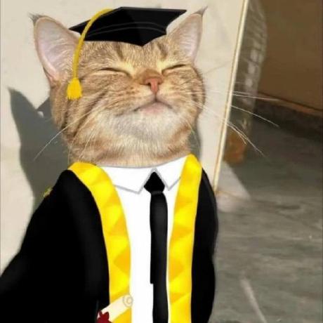 Graduationdevs Github