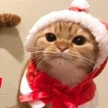 Moonysassets Moony Dll Github