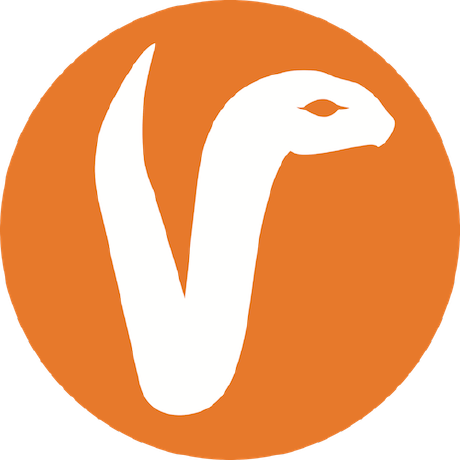 Viper Project Github