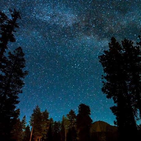 The Midnight Code Github