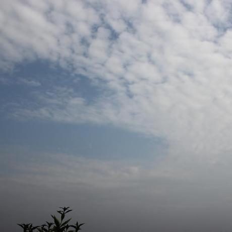 Wenhaohuang Wenhao Huang Github