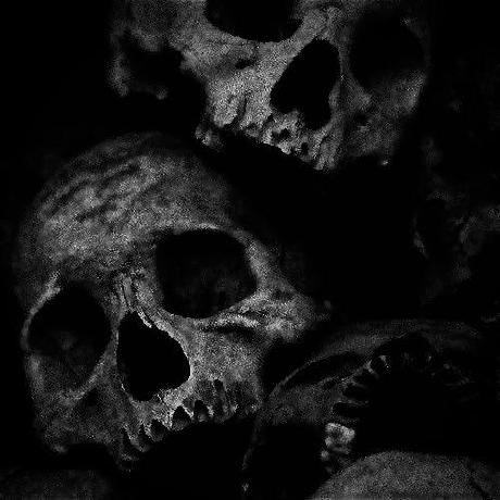 S0nknux ㅤㅤ ㅤ ﾟ Scourge Github