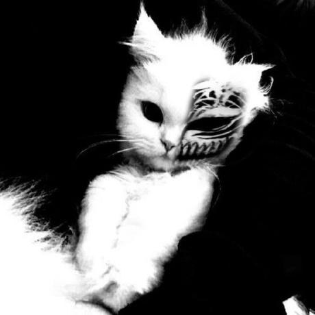 Crimedev Crime Github