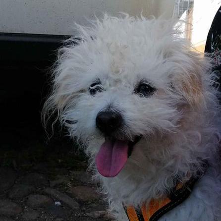 Fernanda Barron Fernanda Barron Github