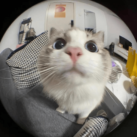 Yi Sa Sa Github - Best Geometric Pictures in 8K