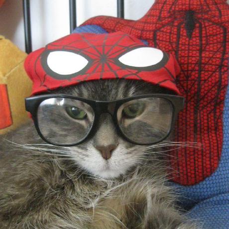 Lauramoraiss Laura Github