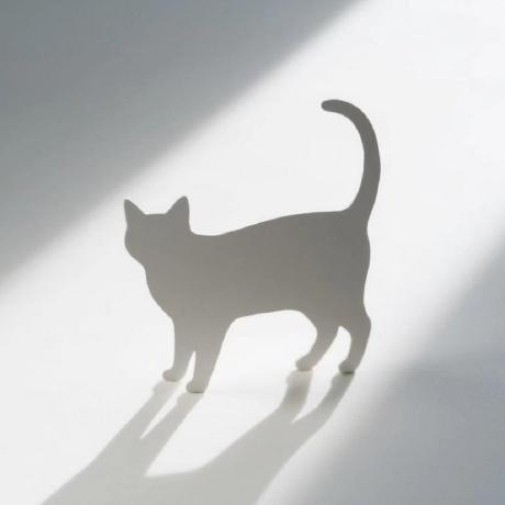 Arcanexis Arcane Github