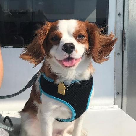 Msullivan3 Michael Sullivan Github