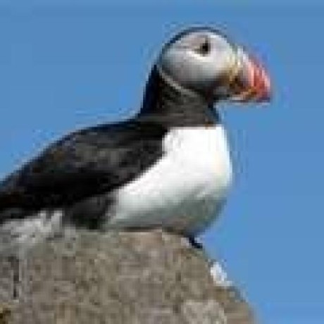 Antoine1682 Antoine Github - Gorgeous 8K Mountain Patterns | Free Download