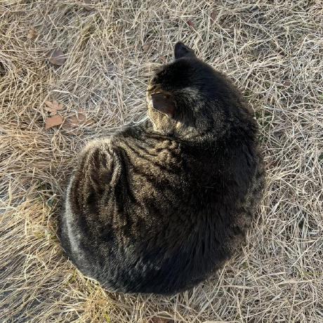 Wnn Hjy Github - Download Amazing City Picture | HD