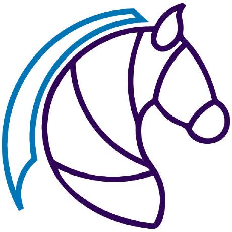 Horses Developer Github