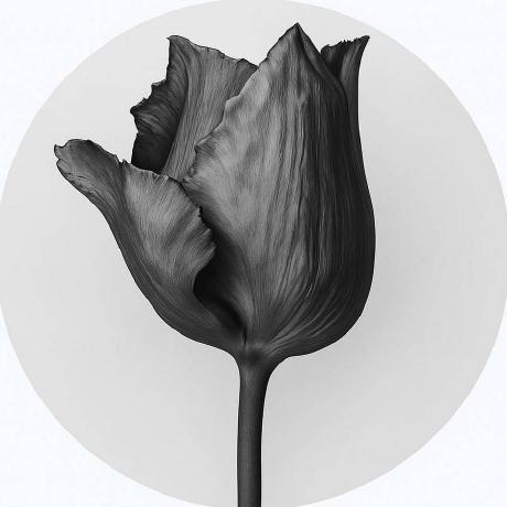 Jini C 박창진 Github