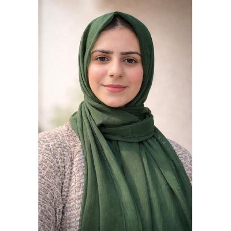 Ayesha Arshad Ai Github