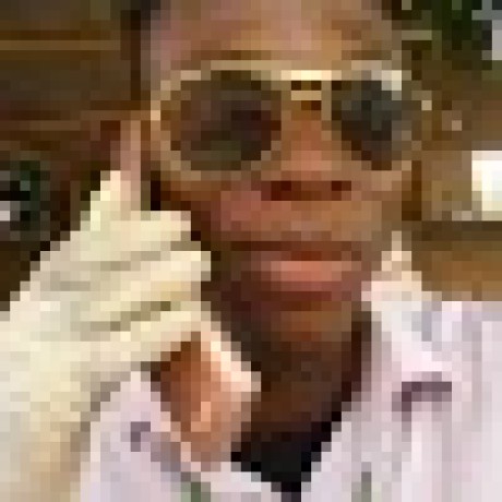 Damien Precious Github