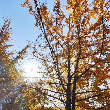 Fintech Lxr Lxr Github