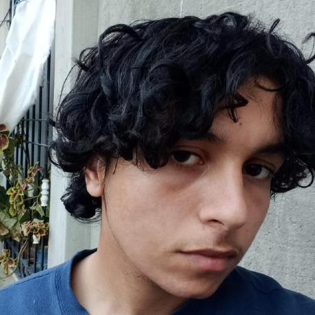 Ayoub Sellami Github