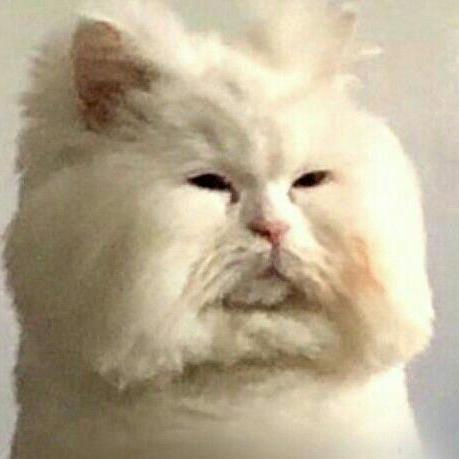 Soohan135 5oo Han531 Github