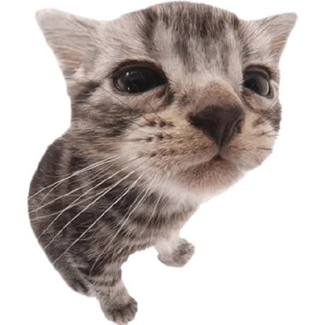 Keller Studios Github