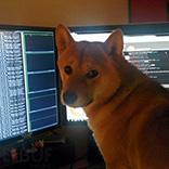 Silence1772 花 Github