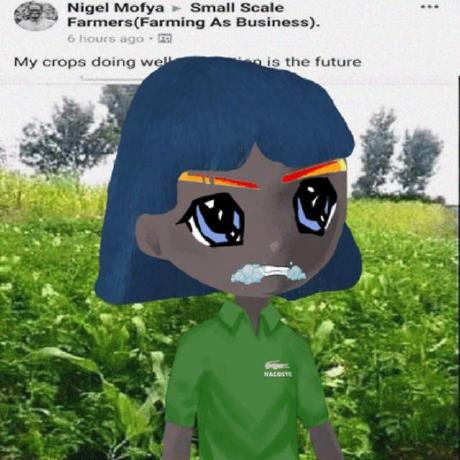 Wasd Sol Bogdan Github