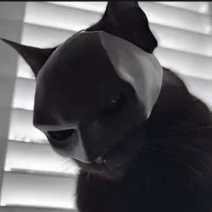 Danter34 Dante Github