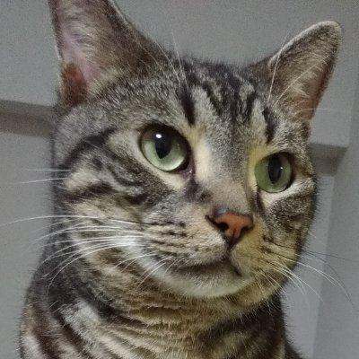 Ryo Yamaoka Ryo Yamaoka Github