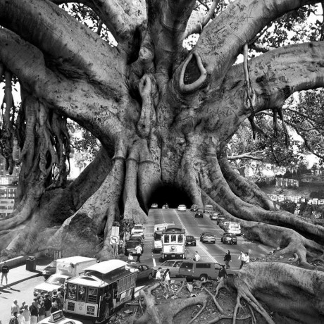 Foci Solutions Github - Premium Minimal Photo Gallery - 8K