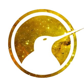 Kiwi Financial Github