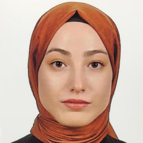 Beyza Acikgoz Beyza Açıkgöz Github