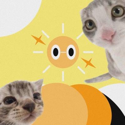 Kotiocoto Coto Github