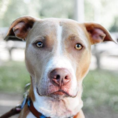 Colinweiner111 Colin Github