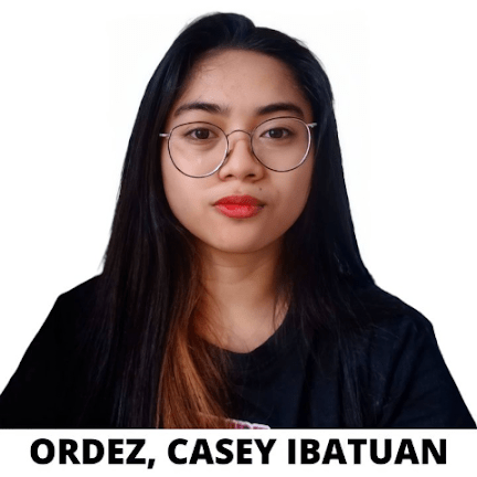 Kccasey2425 Casey Github