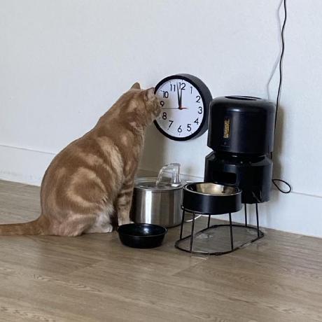 Vincentzed Vincent Zhong Github